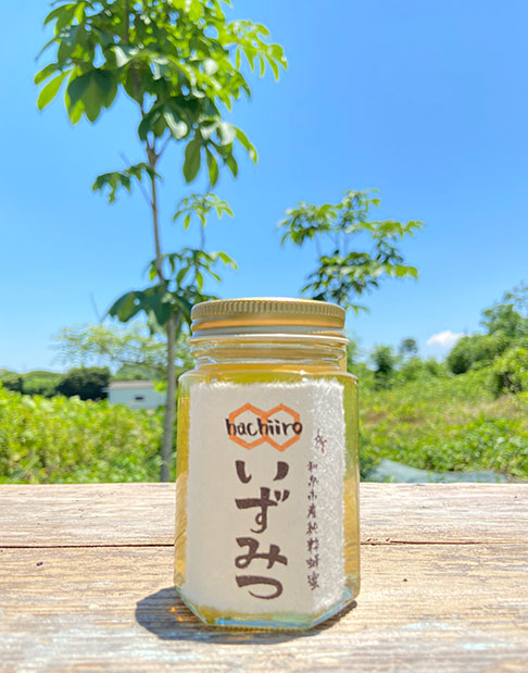 hachiiro | 大阪府和泉市の国産天然はちみつの通信販売・お取り寄せ