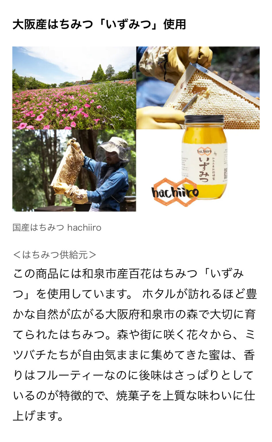 2025大阪・関西万博少し参戦しています | 大阪府 和泉市の純粋国産はちみつ通信販売・オンラインショップの hachiiro
